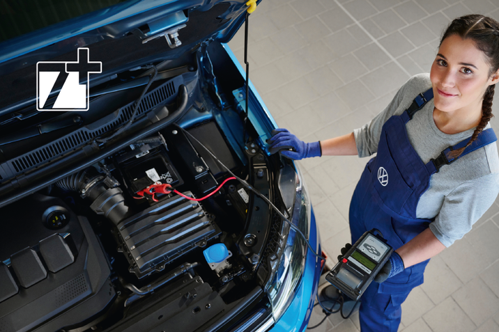 CARDINAL MOTORS CONSTANTA SRL.